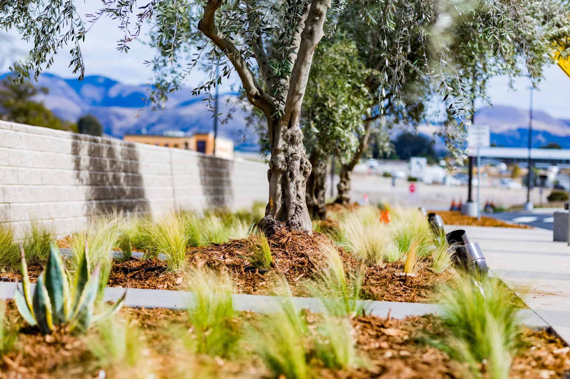 Strategic Plan - SLO County Airport (SBP)